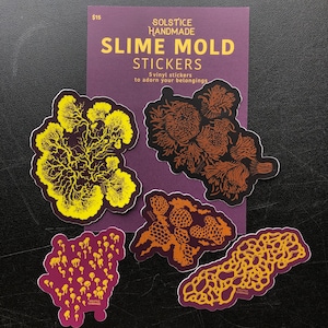 Plasmodium Slime Mold Sticker - Etsy