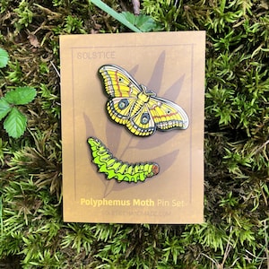 Polyphemus Moth Pin Set - Etsy