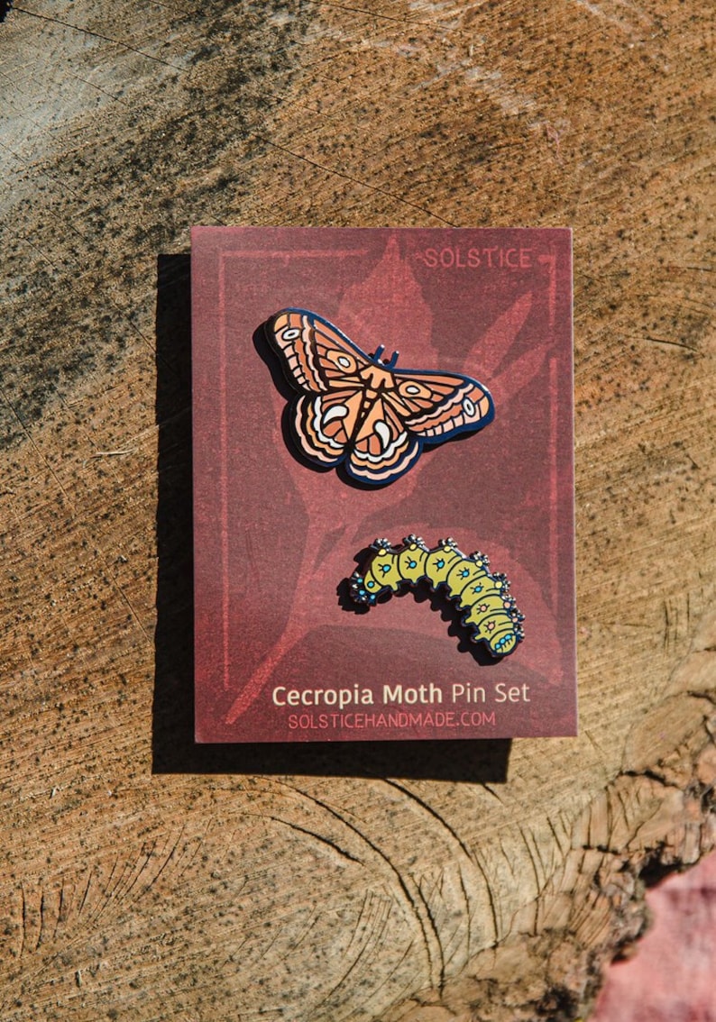 Cecropia Moth Pin Set - Etsy