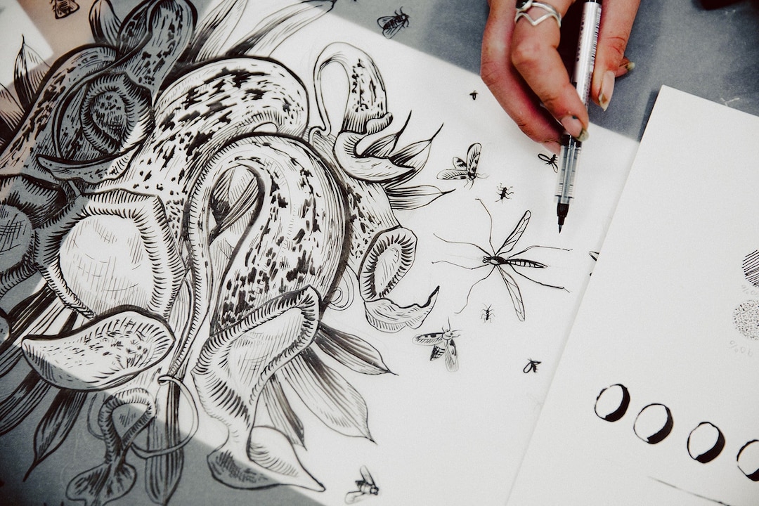 Drawing Insects With Ink - Just Video - Etsy