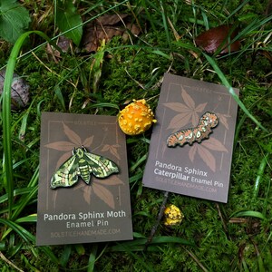 Pandora Sphinx Moth Pin - Etsy