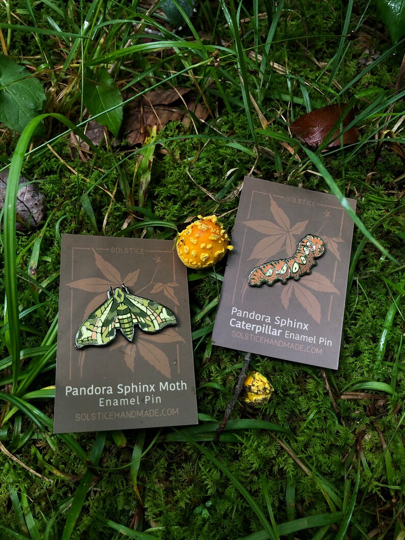 Pandora Sphinx Moth Pin - Etsy