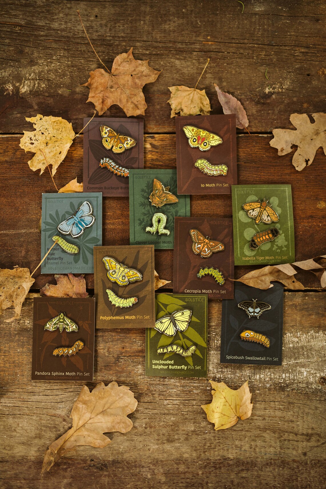Common Buckeye Butterfly Pin Set - Etsy