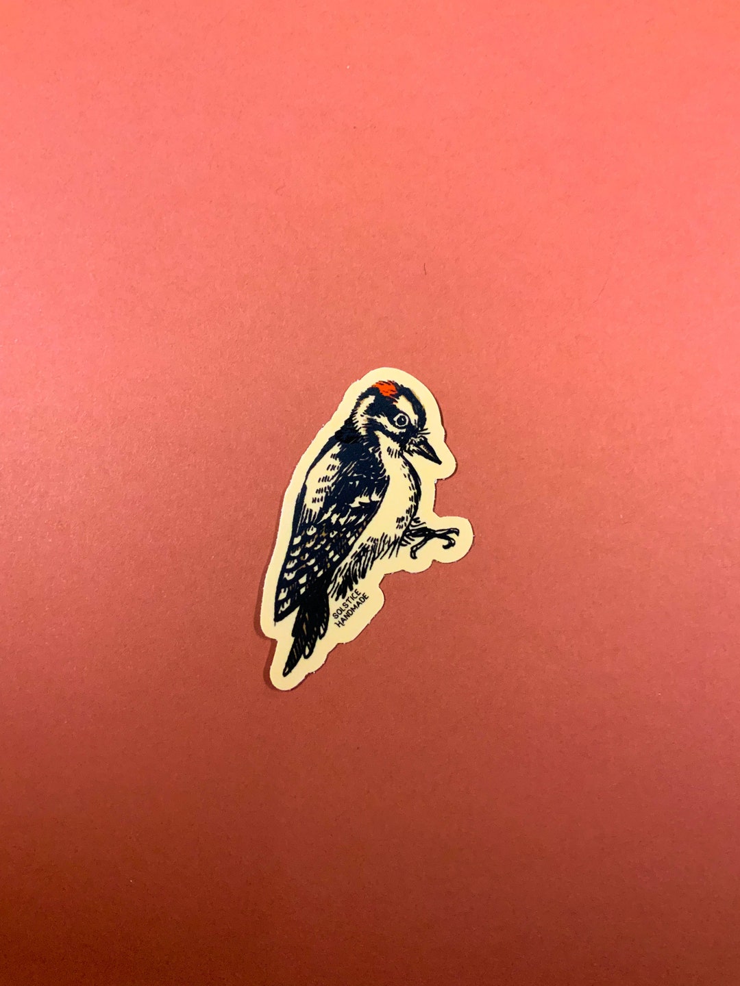 Downy Woodpecker Sticker - Etsy