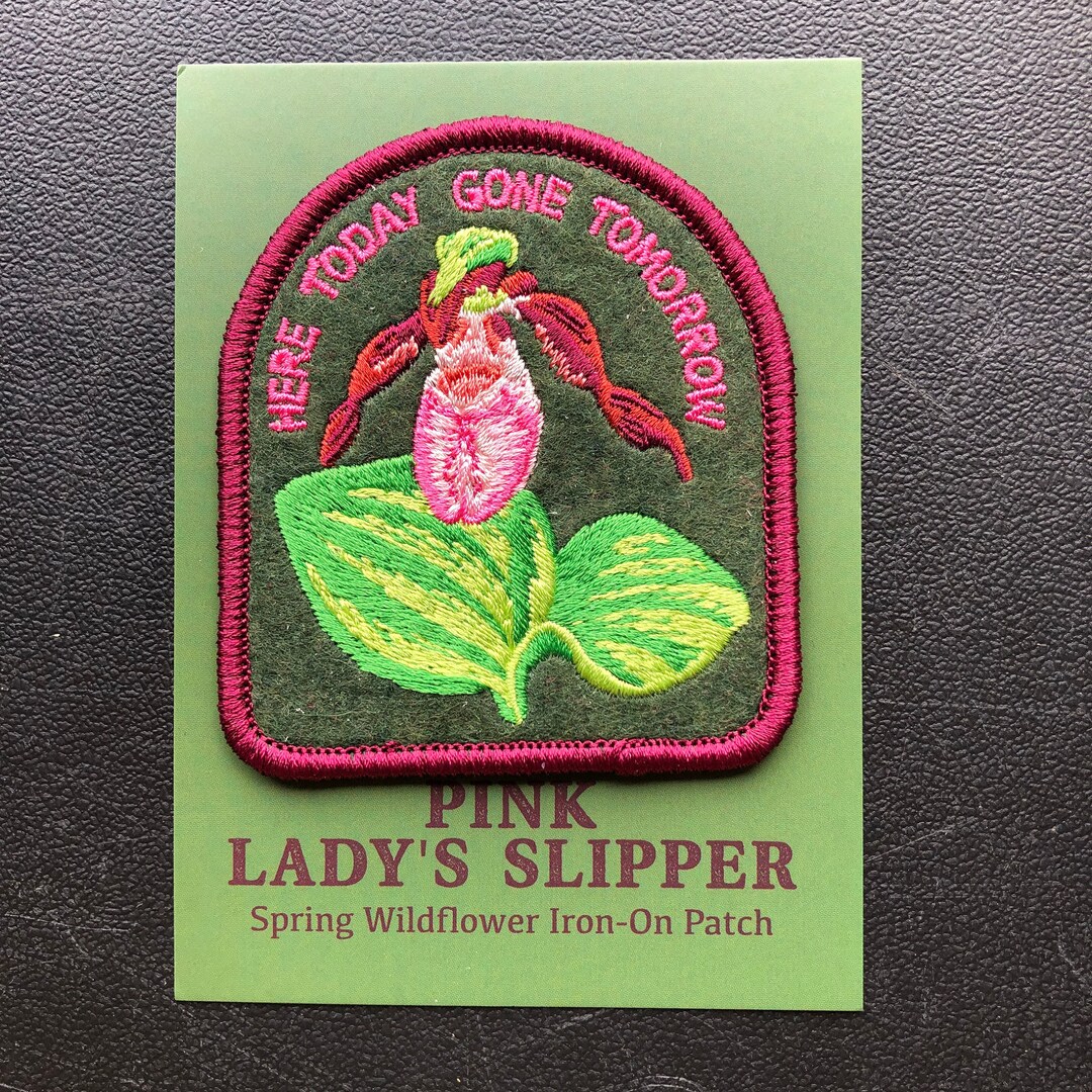 Pink Lady's Slipper Orchid Patch - Etsy