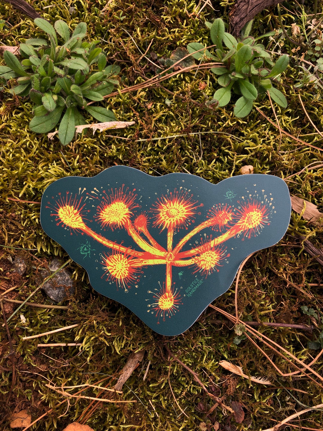 Sundew Sticker - Etsy