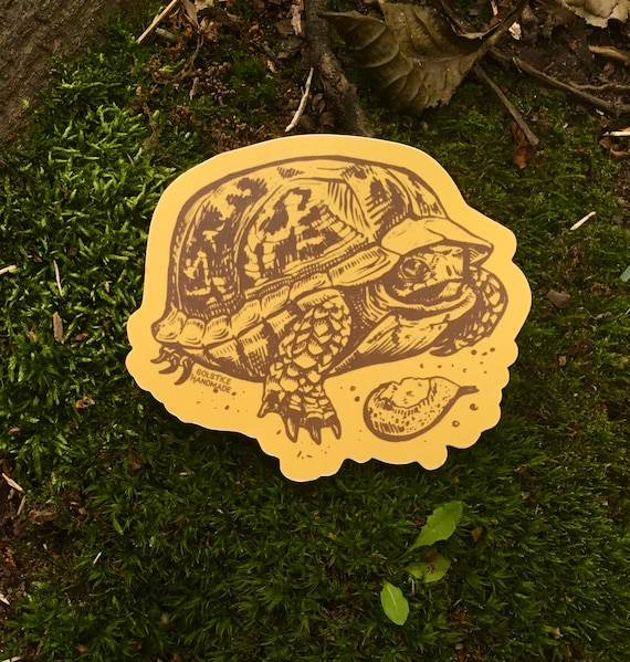 Box Turtle Sticker - Etsy