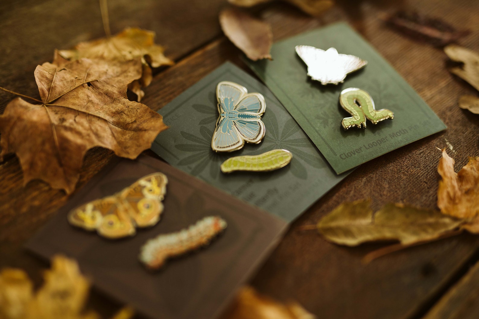Common Buckeye Butterfly Pin Set - Etsy