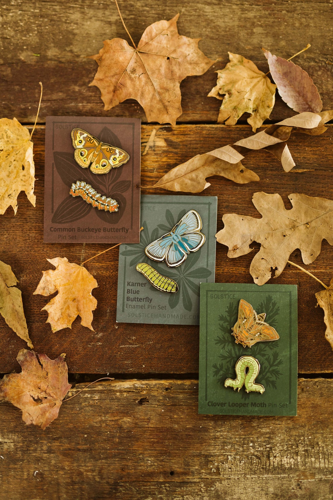 Common Buckeye Butterfly Pin Set - Etsy