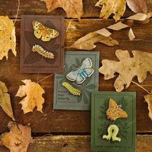Common Buckeye Butterfly Pin Set - Etsy