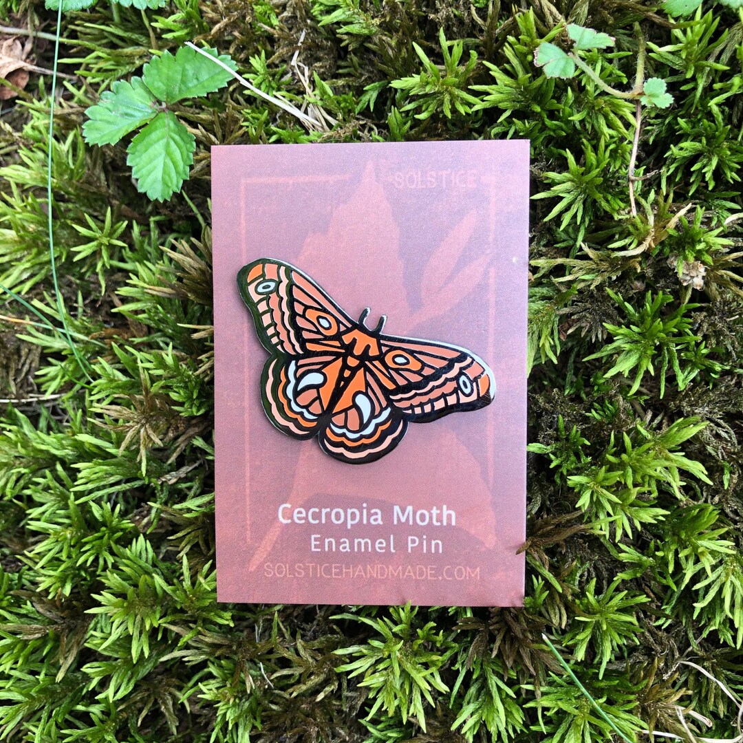 Cecropia Moth Enamel Pin - Etsy
