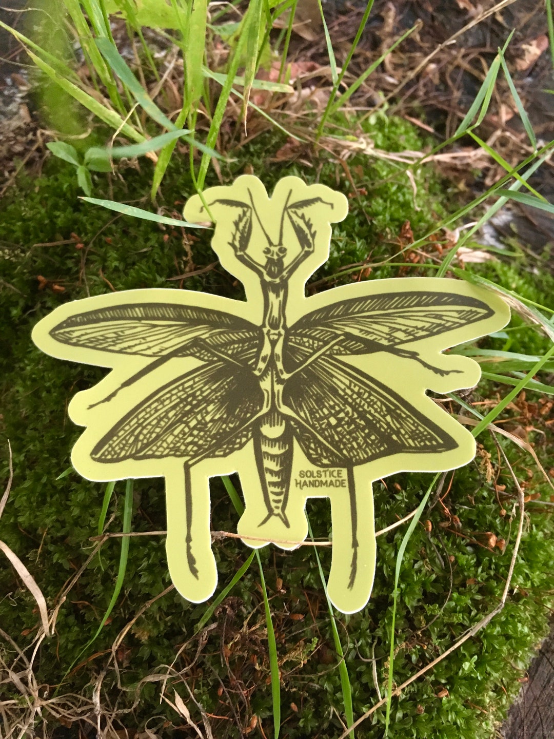 Praying Mantis Sticker - Etsy