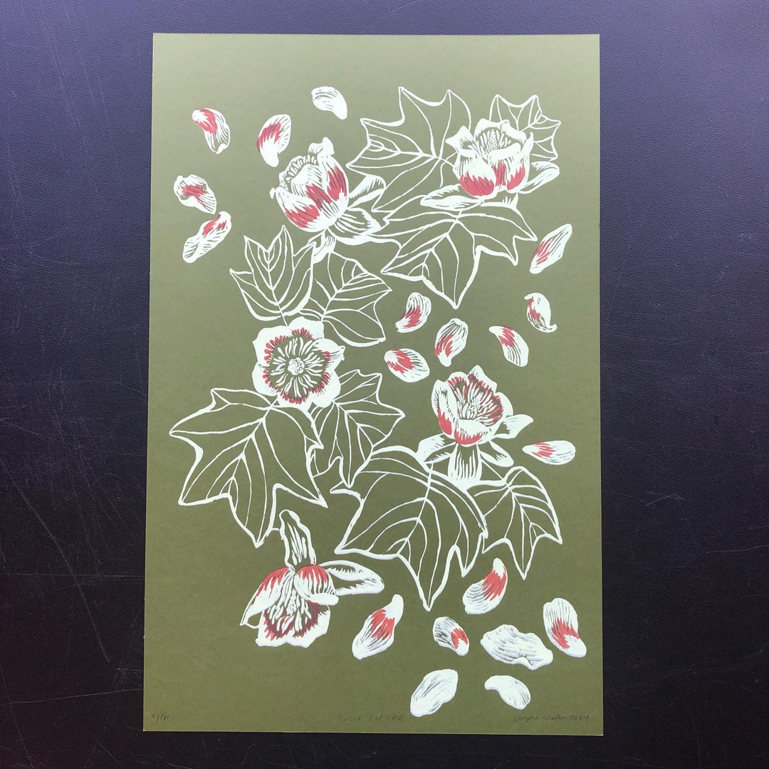 Tulip Poplar Print - Etsy