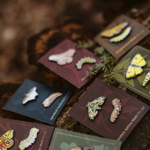Polyphemus Moth Pin Set - Etsy
