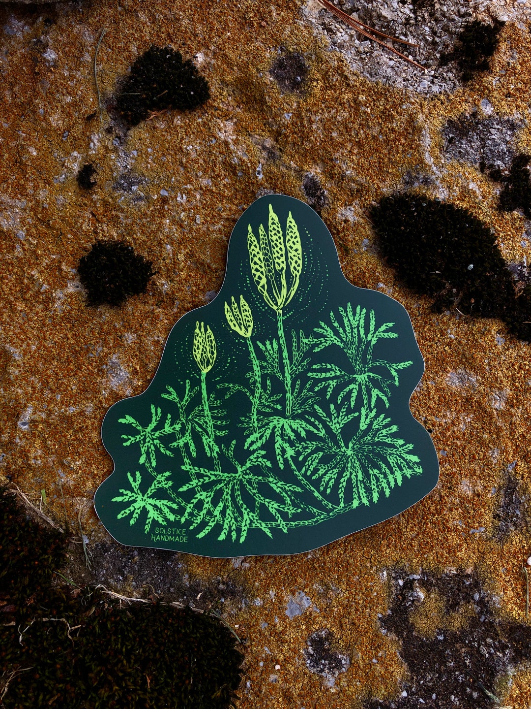 Ground Cedar Sticker - Etsy