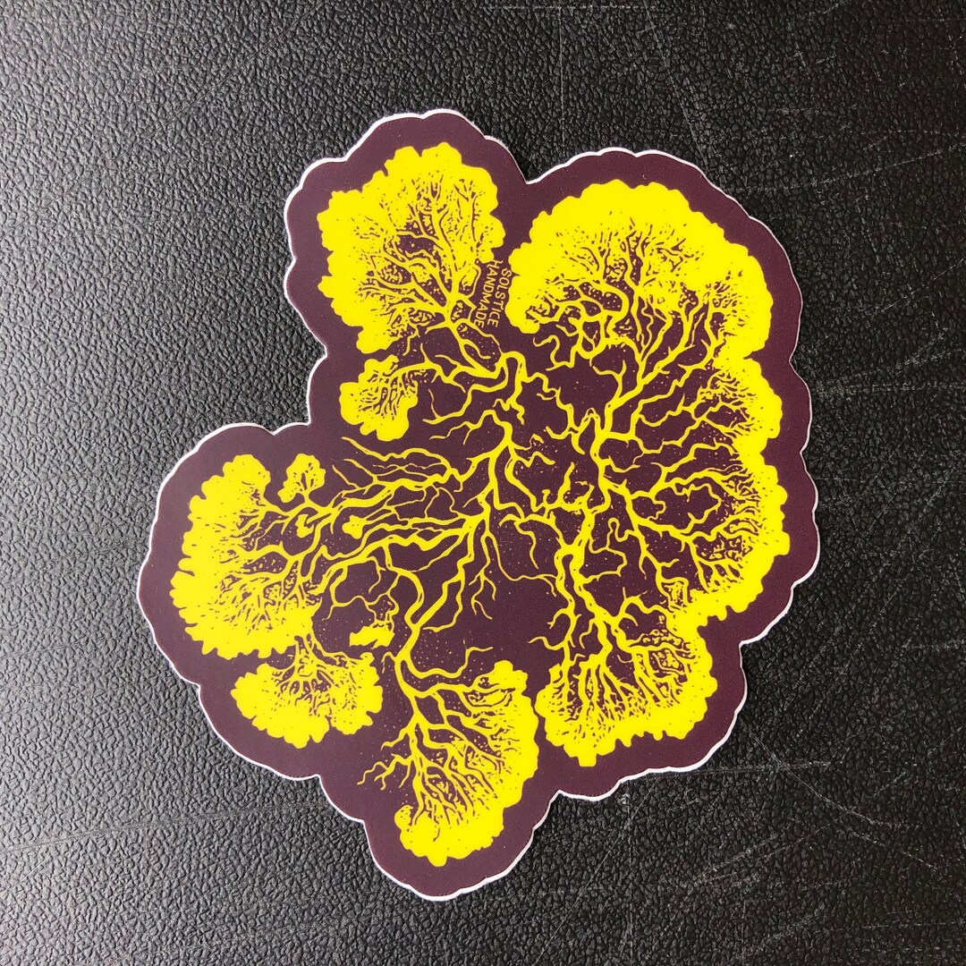Plasmodium Slime Mold Sticker Etsy