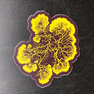 Plasmodium Slime Mold Sticker - Etsy