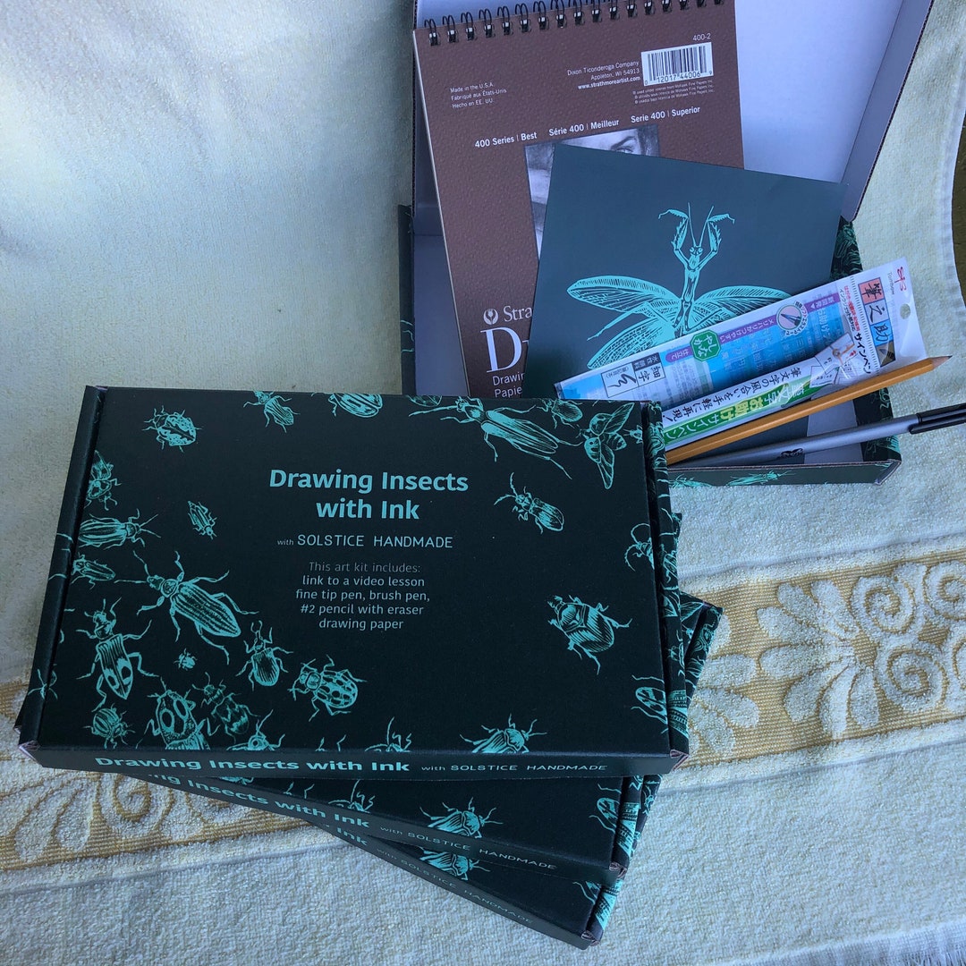 Drawing Insects With Ink Virtual Art Class Kit - Etsy