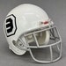3D Printed Riddell VSR4 Mini Helmet Replacement/upgrade EGOP Facemask ...