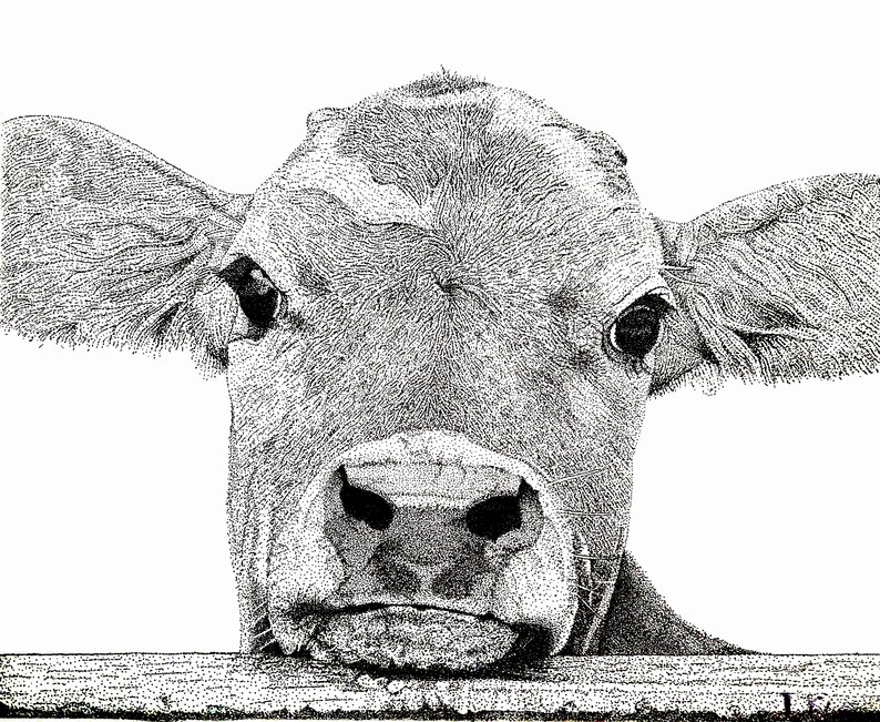 Cow Art Print | Hand Drawn With A Million Little Dots - Etsy