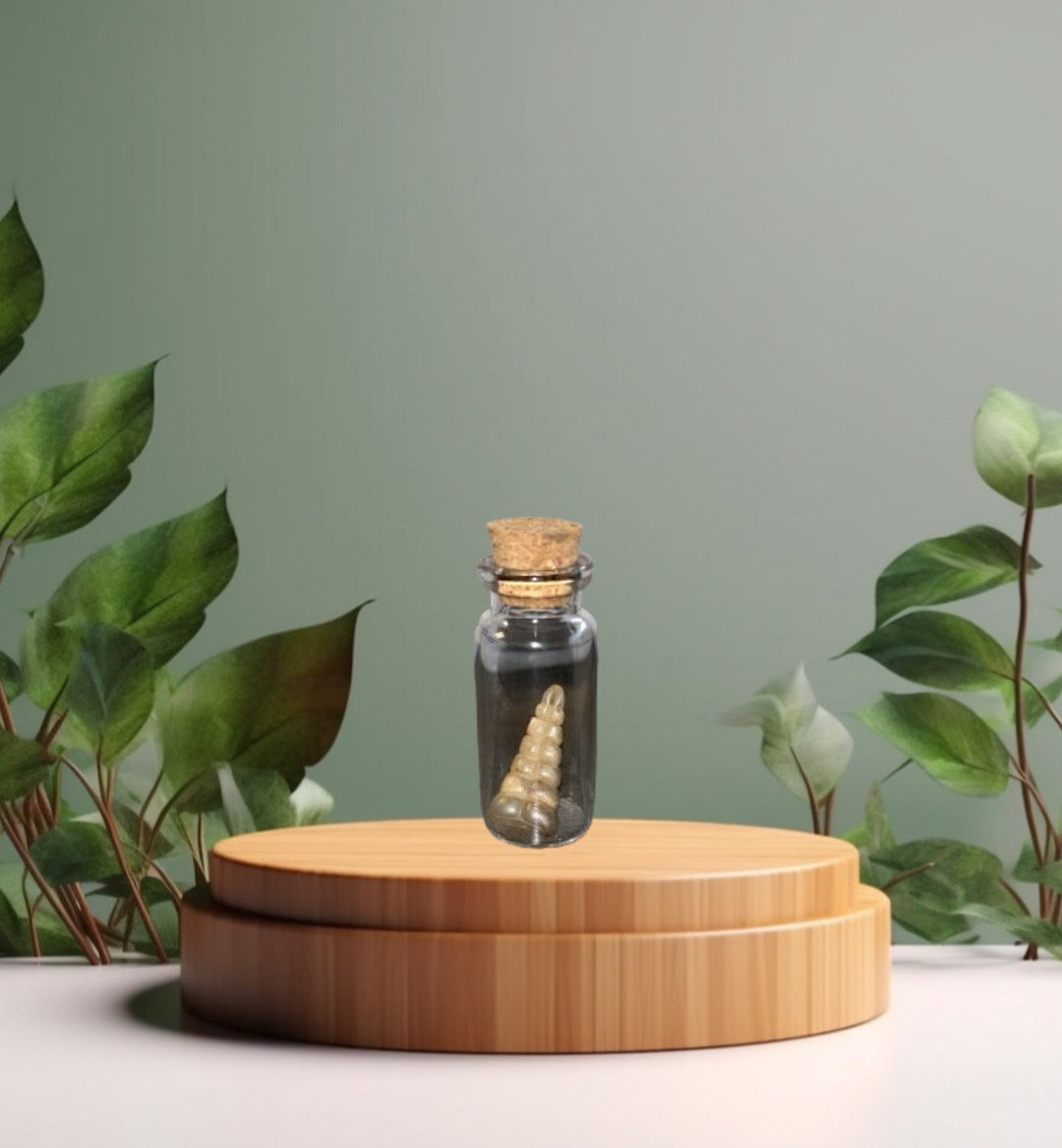 Real Rattlesnake Snake Rattle in 2 Vial Cork Top for Natural Curiosity ...