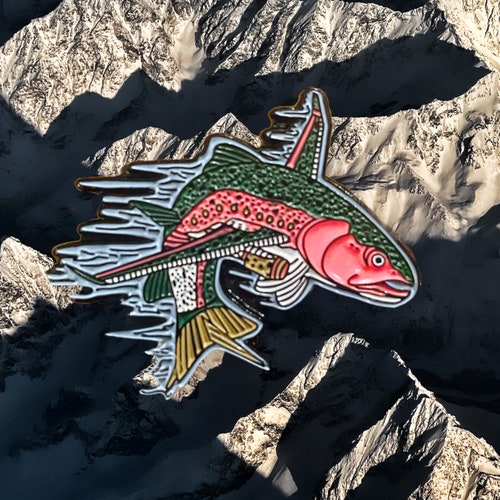 Salmon Thirty Salmon 737 Boeing Fish Plane Fish Airplane - Etsy
