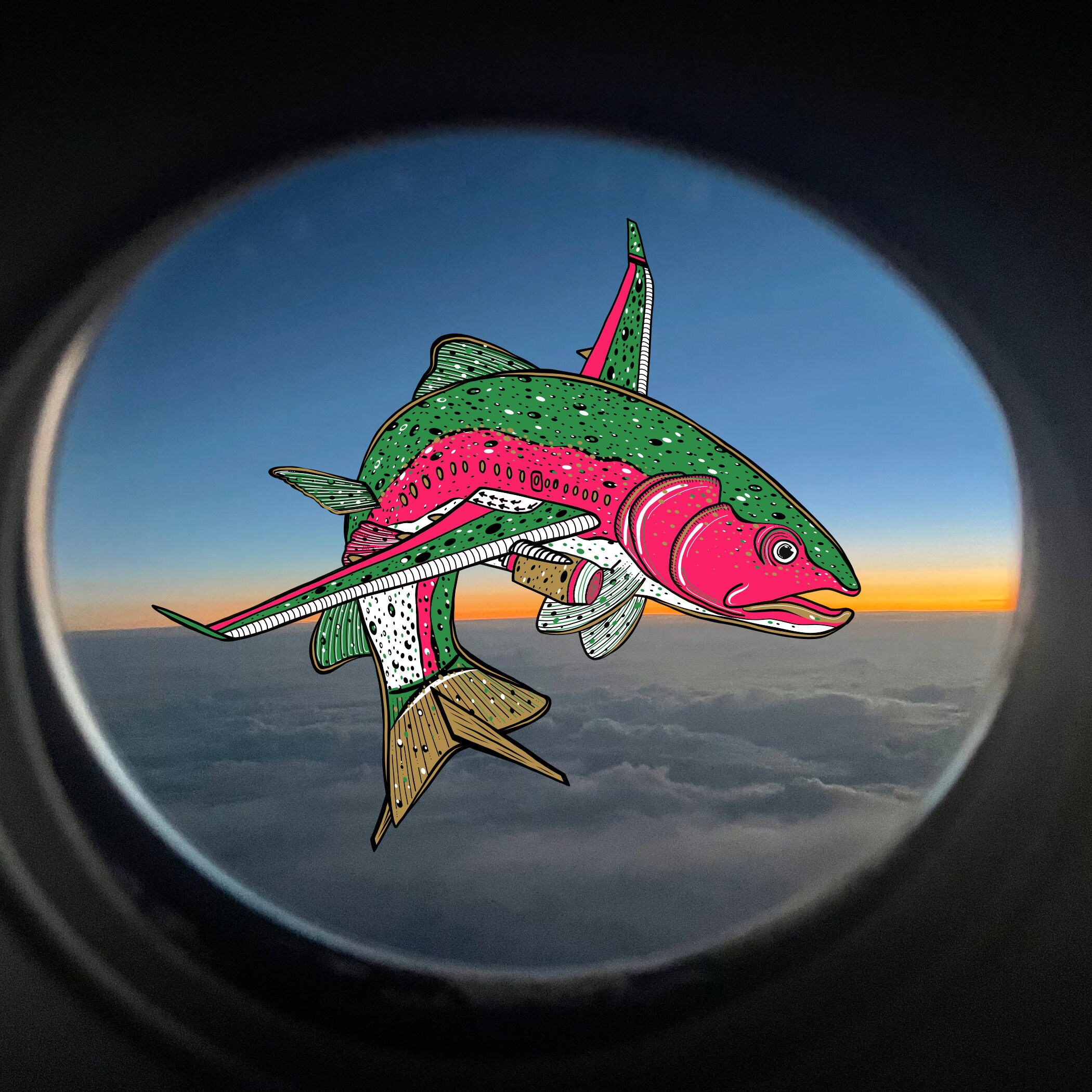 Salmon Thirty Salmon, 737, Boeing, Fish Plane, Fish Airplane, Plane ...