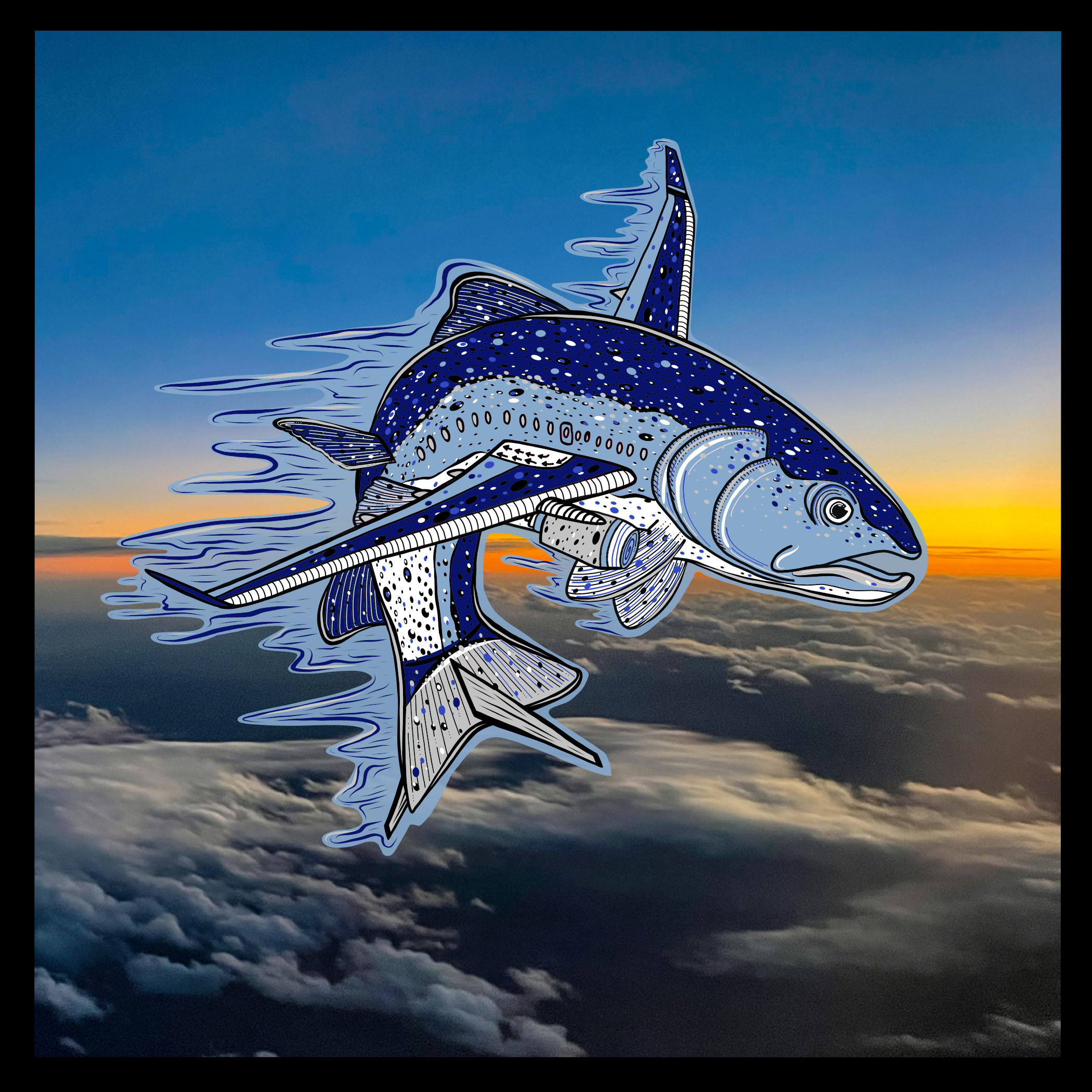 Salmon Thirty Salmon, 737, Boeing, Fish Plane, Fish Airplane, Plane ...