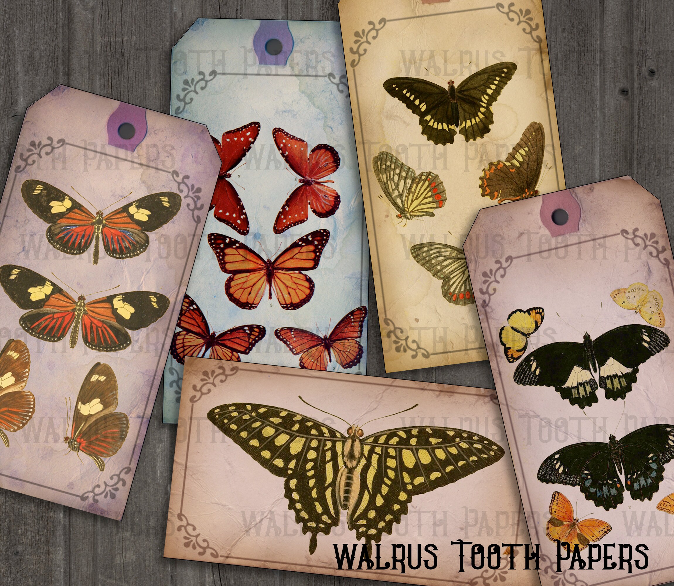 Vintage BUTTERFLY TAGS Printable Ephemera, Instant Download, Digital ...