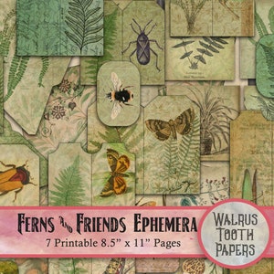 FERNS AND FRIENDS Printable Ephemera, Instant Download, Digital Collage ...