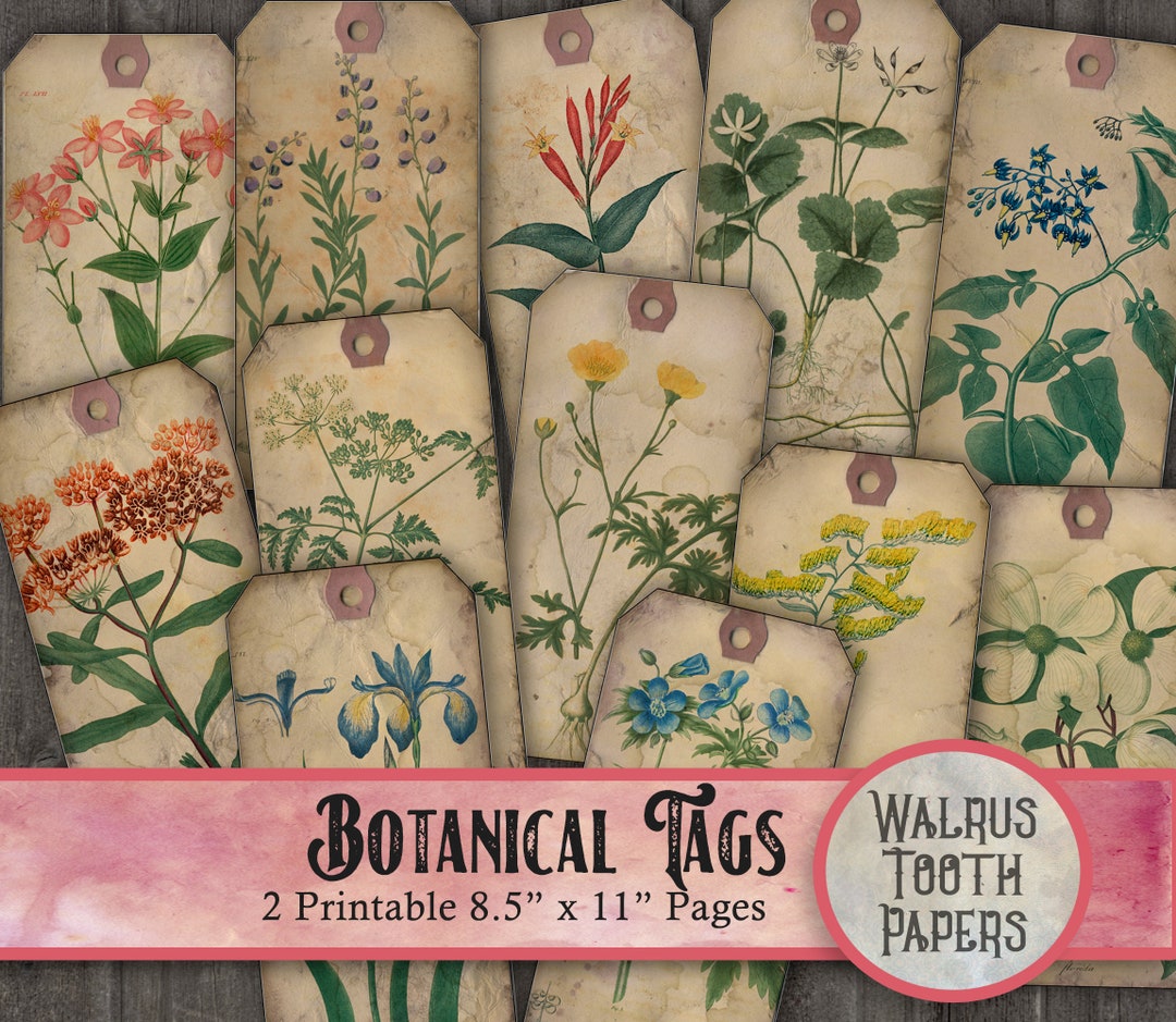 BOTANICAL TAGS Printable Ephemera, Instant Download, Digital Collage ...