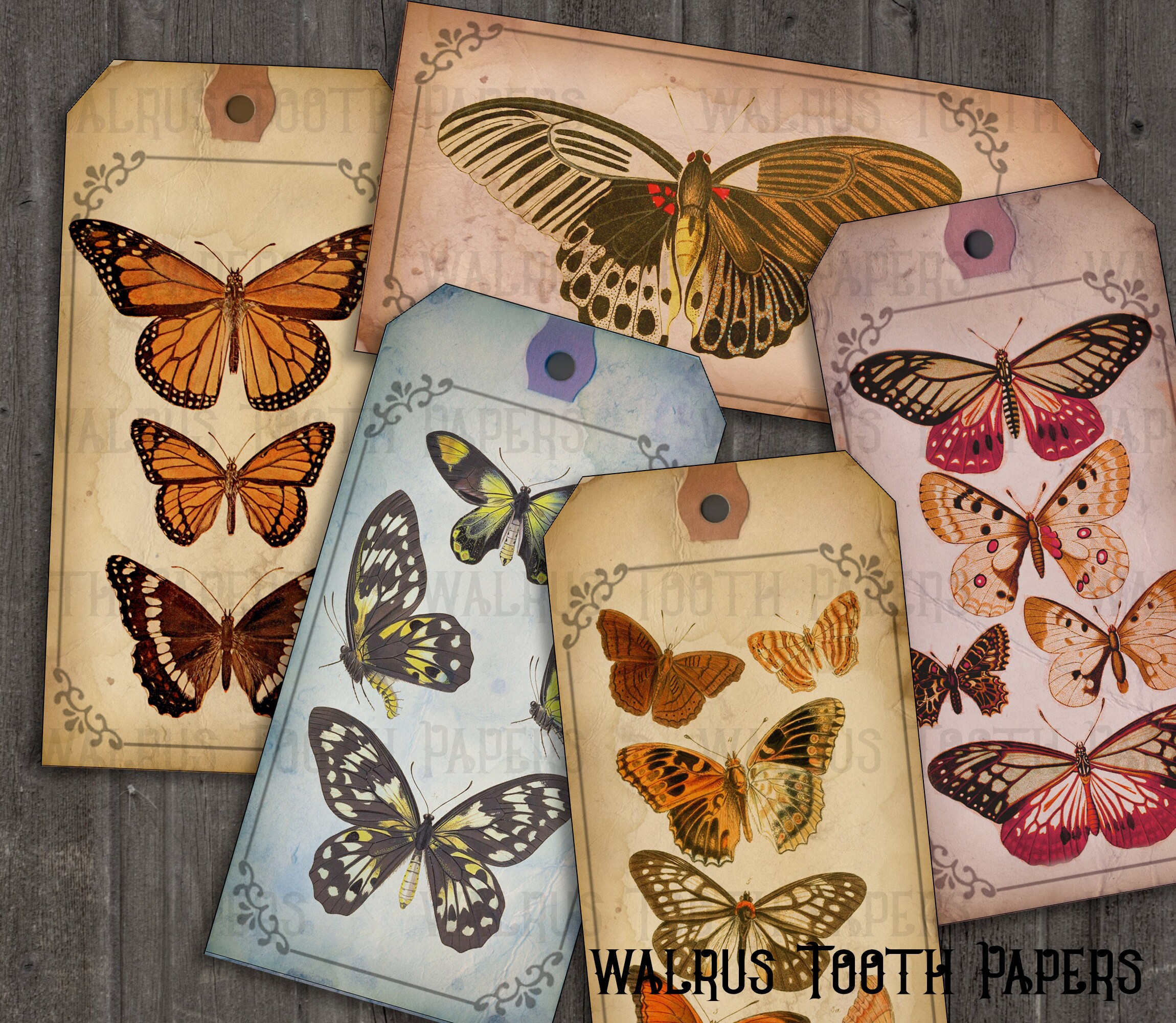 Vintage BUTTERFLY TAGS Printable Ephemera, Instant Download, Digital ...