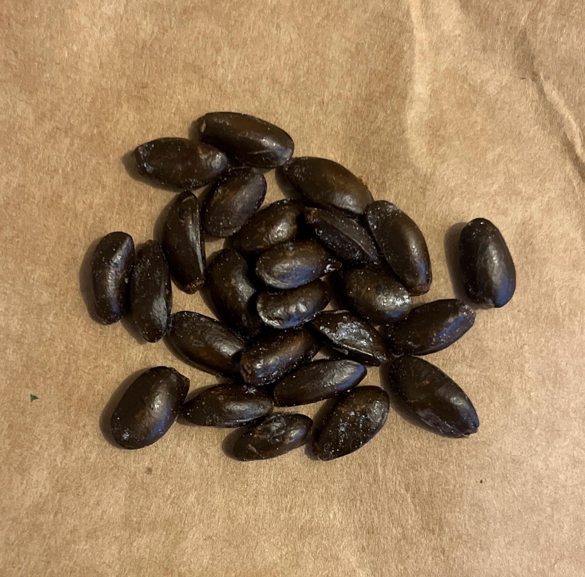 Soursop Tree, Sweet Sop Tree, and Seeds - Etsy