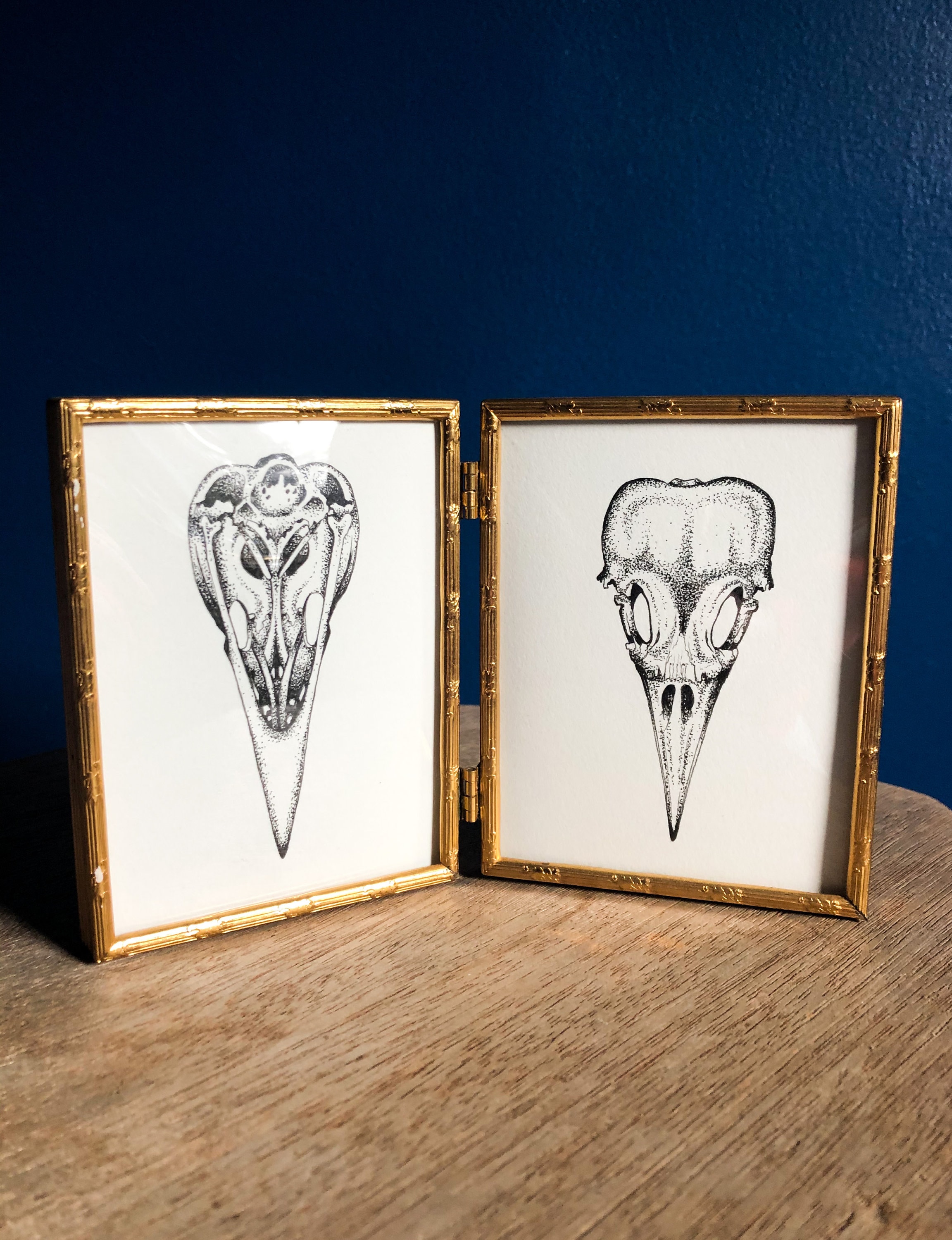 Sparrow Skull