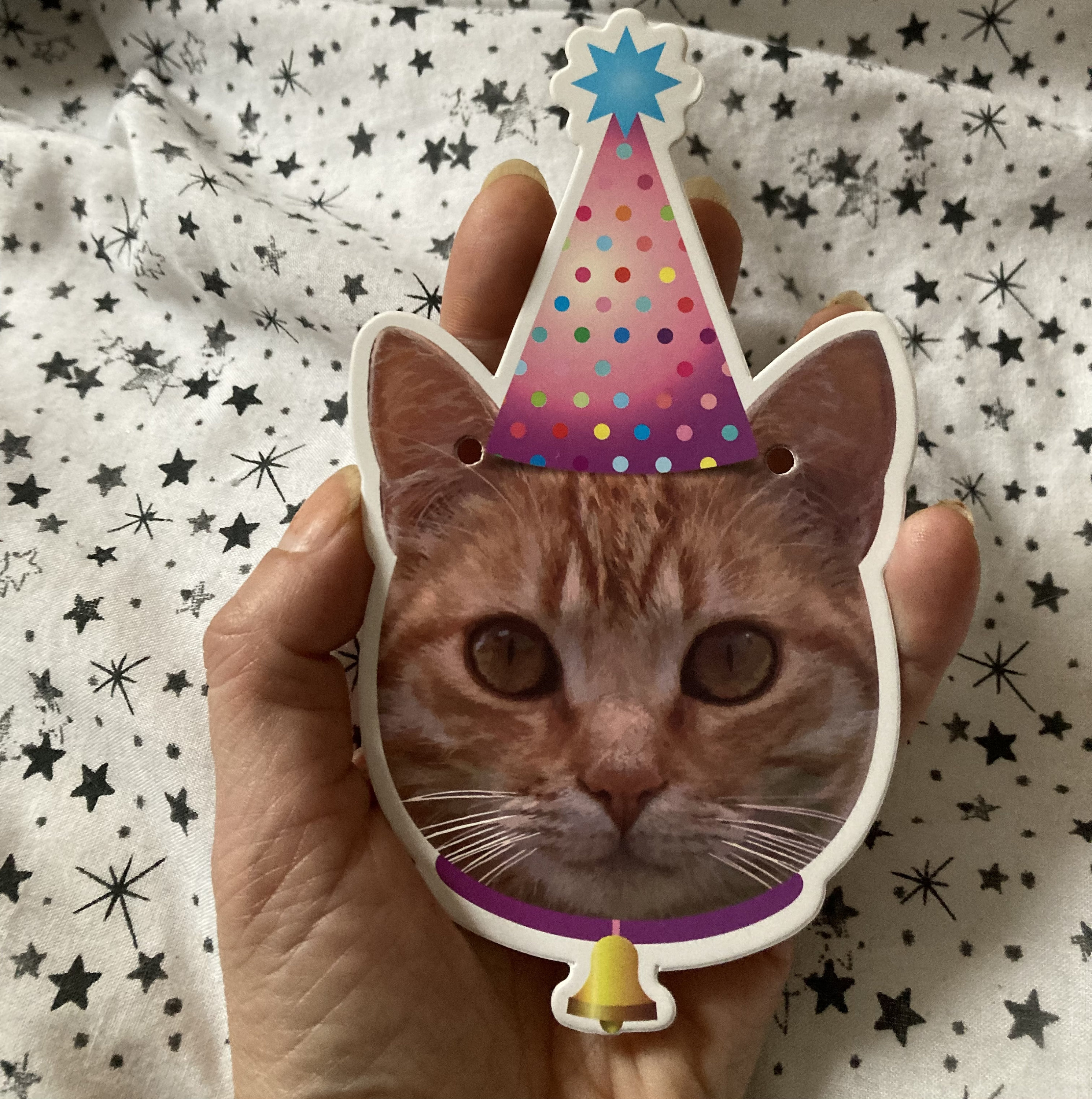 Sad Cat Birthday Party