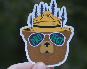 Smokey Bear Decal - Etsy