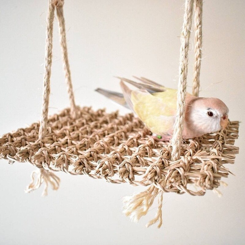 Bird Hammock - Etsy