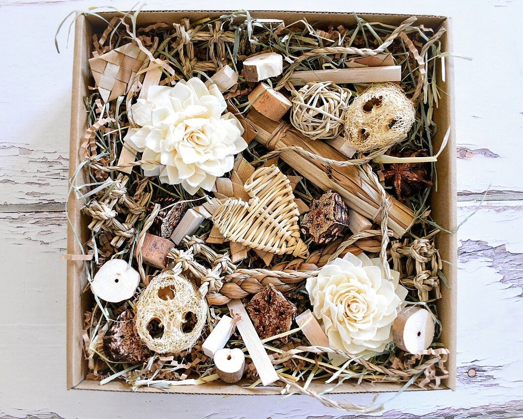 Forager's Box Natural Foraging Toy for Birds, Rabbits, Rats & Mice ...