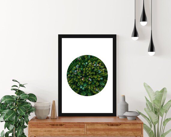 Circle of Nature Poster Forest Prints Round Circle Canvas | Etsy