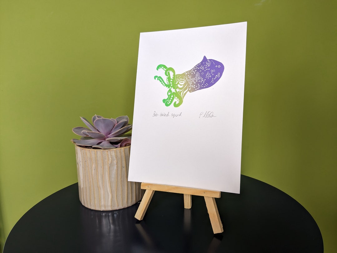 Bob-tailed Squid Lino Print Handmade Art Print Free UK Delivery - Etsy