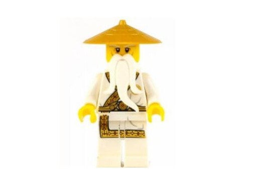 Ninjago Sensei Wu Costume