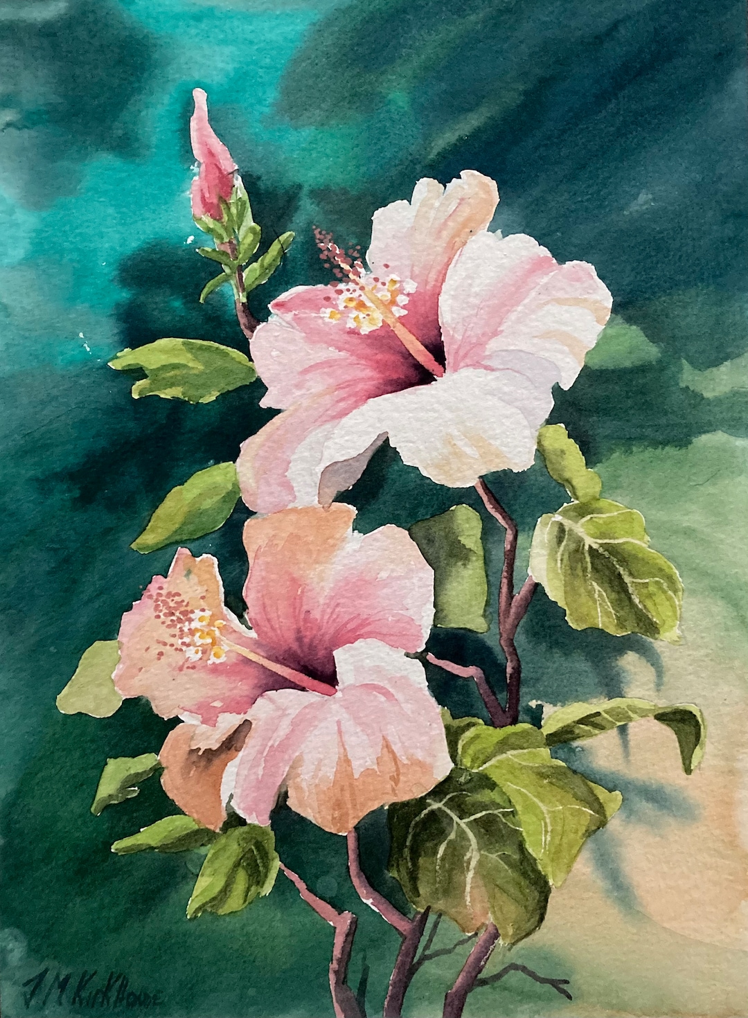 Hibiscus Original Watercolour Painting. 15 X 11 Inches. - Etsy