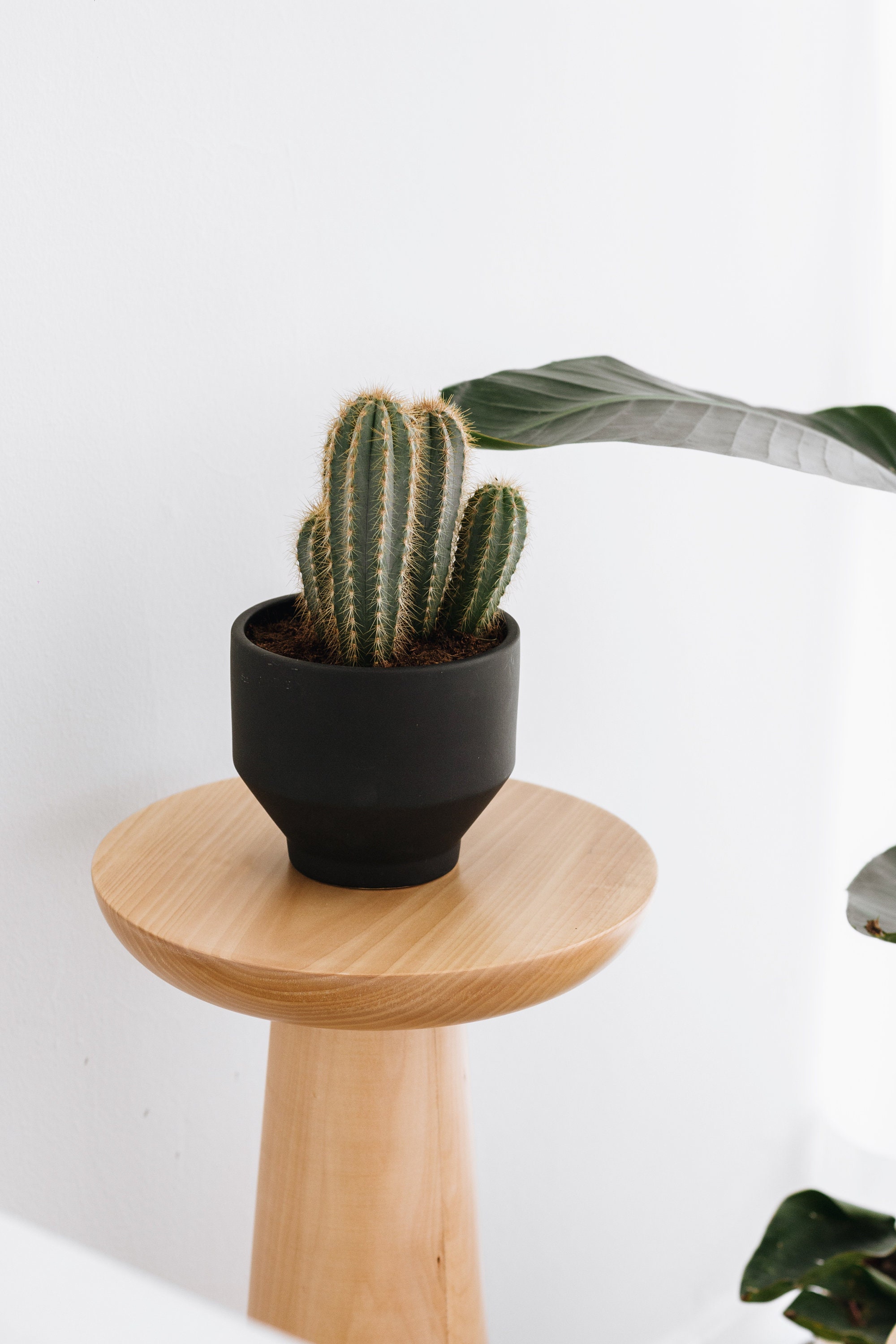 MUSHROOM SIDE TABLE Longest | Etsy