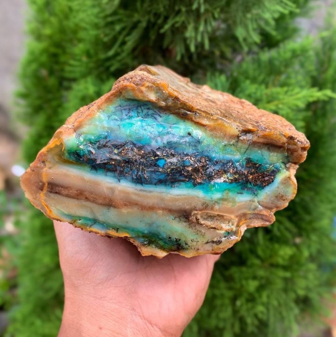 4.1kg.. Rare Material Blue Opalized Petrified Wood Collector Pieces ...