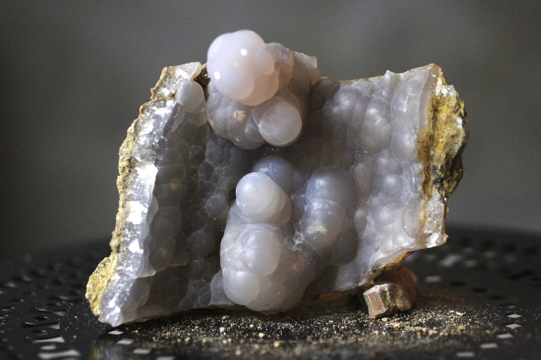 0.350gr White Botryoidal Petrified Wood! Chalcedony Agate | Etsy in ...