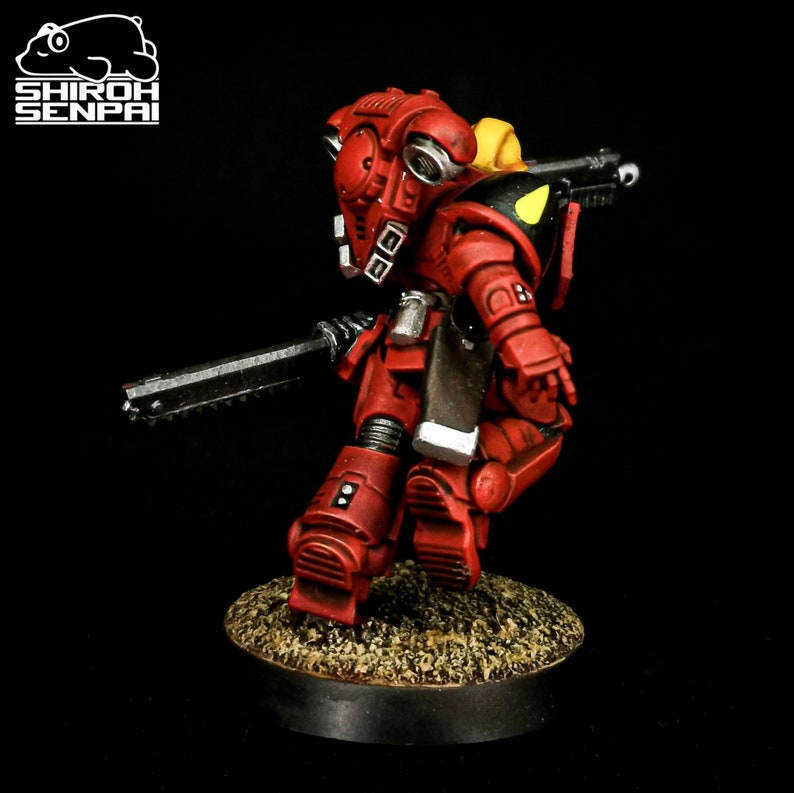 Warhammer 40k Space Marines Blood Angels Assault Intercessors - Etsy