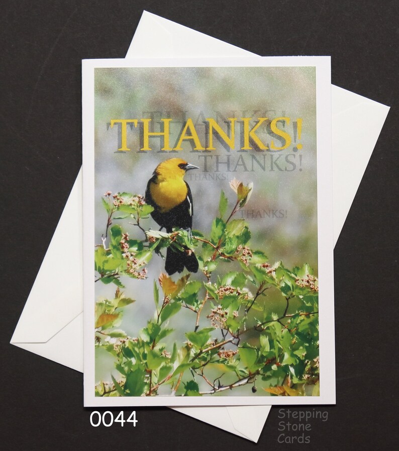 Set #8 Thankyou Creatures, Blank Note Cards, Handmade, Nature, Animal ...