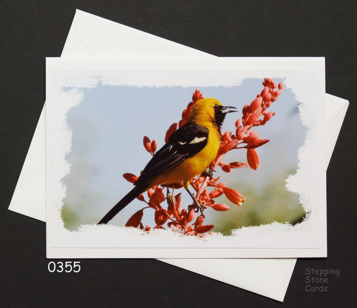 Set #61 Bird-1, Blank Note Cards, Handmade, Nature, All Purpose ...