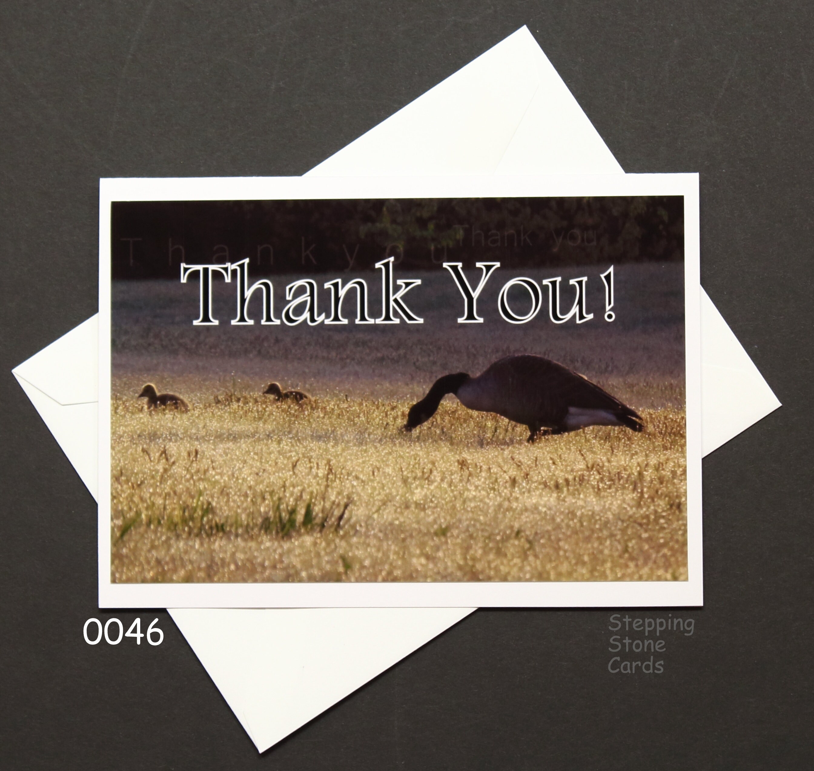 Set #8 Thankyou Creatures, Blank Note Cards, Handmade, Nature, Animal ...
