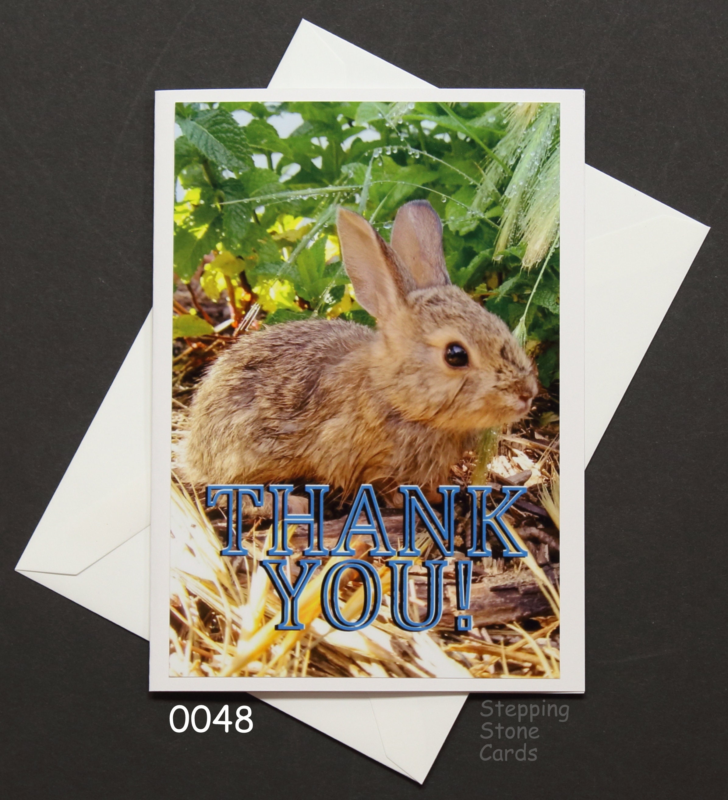 Set #8 Thankyou Creatures, Blank Note Cards, Handmade, Nature, Animal ...